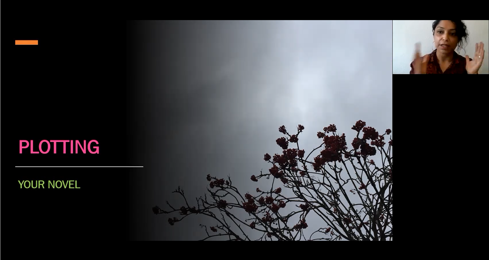 Plotting your Novel – Write Beyond Borders